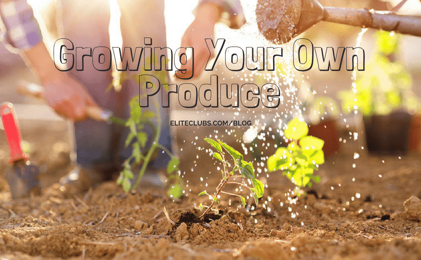 Growing Your Own Produce - Elite Sports Clubs